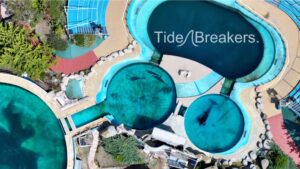 Kshamenk – TideBreakers