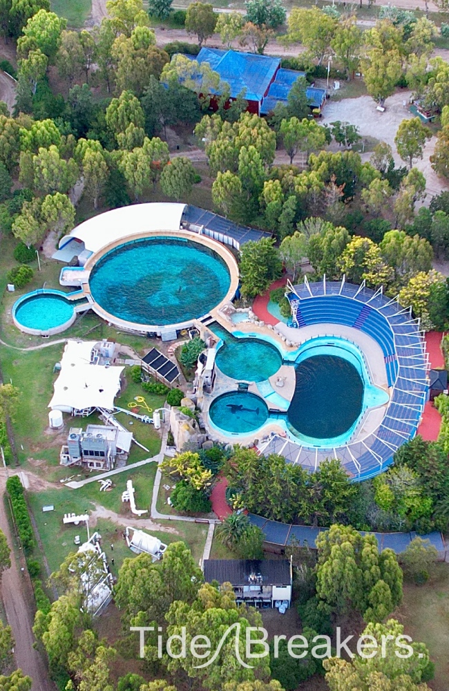 Kshamenk – TideBreakers