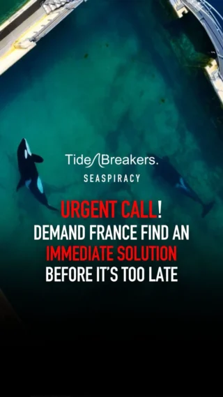 TideBreakers – TideBreakers