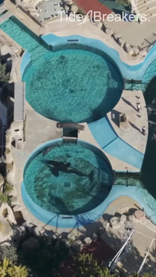 TideBreakers – TideBreakers